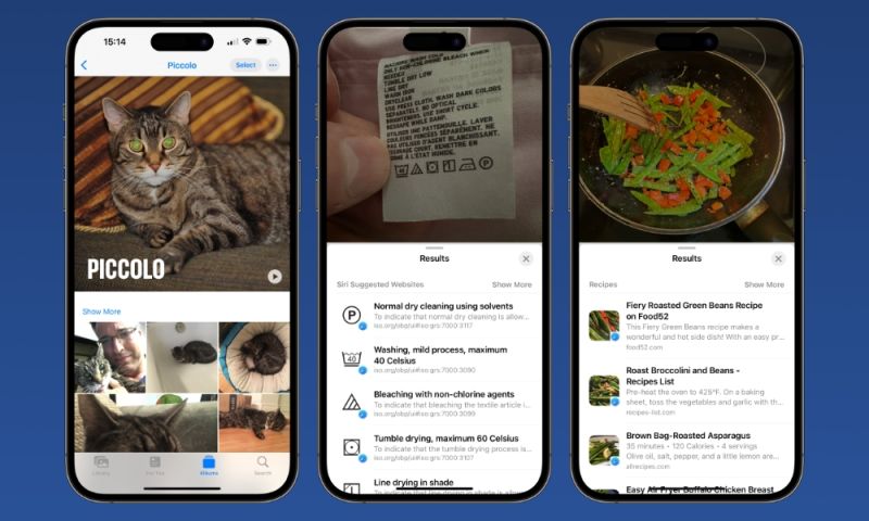 Furry Friends, Laundry Care, and More | Your iPhone’s Image Recognition Will Get Much Smarter in ...